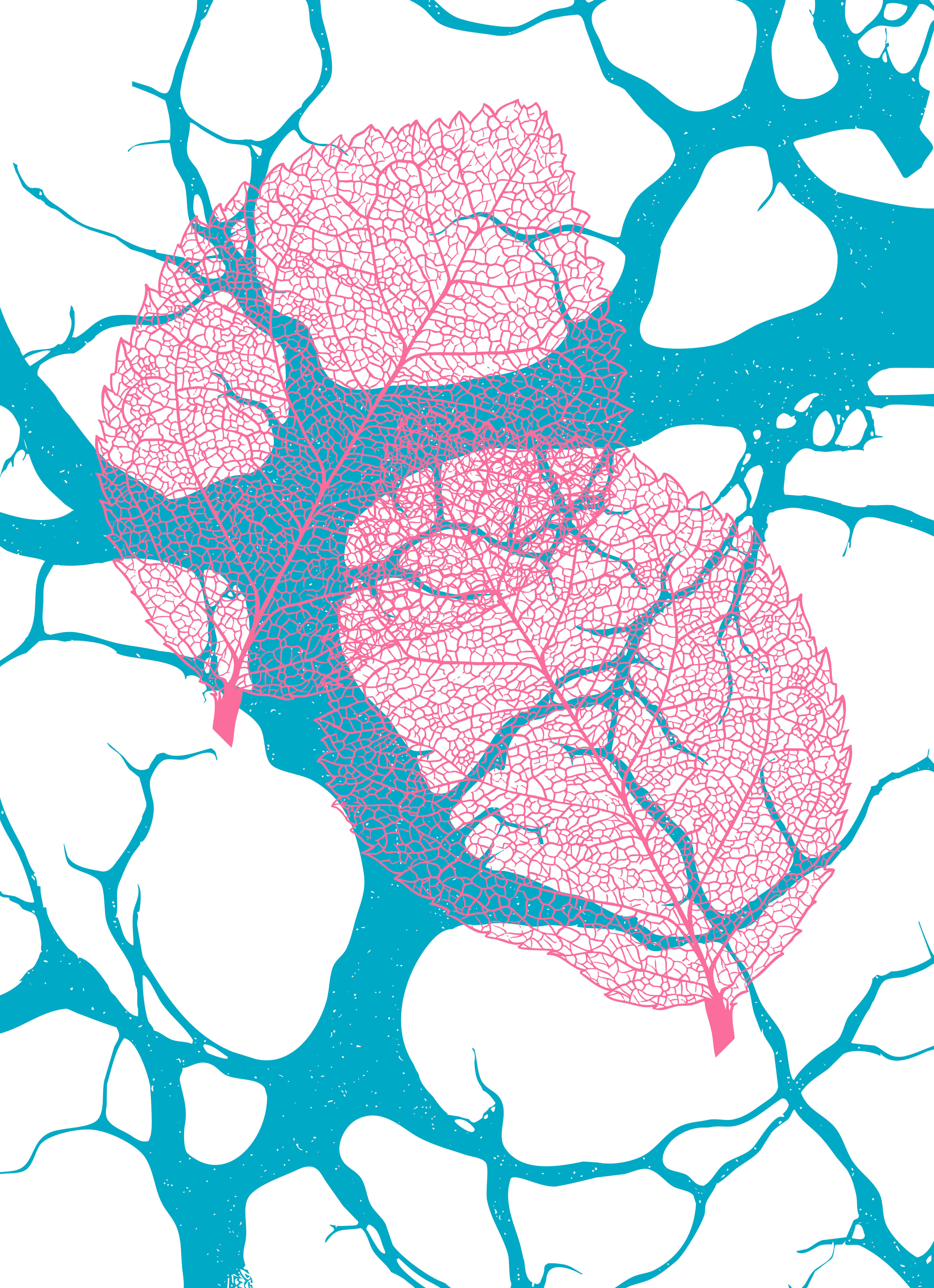 Édito : Sarah Petitpas présente la nouvelle saison culturelle 2025-2026 ! | Service culturel